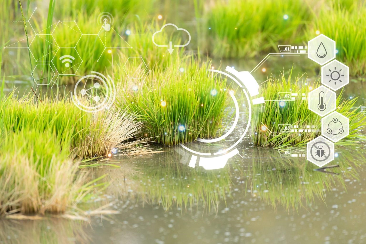 Water-Wise Agriculture: How Technology Improves Irrigation - PAT Testing